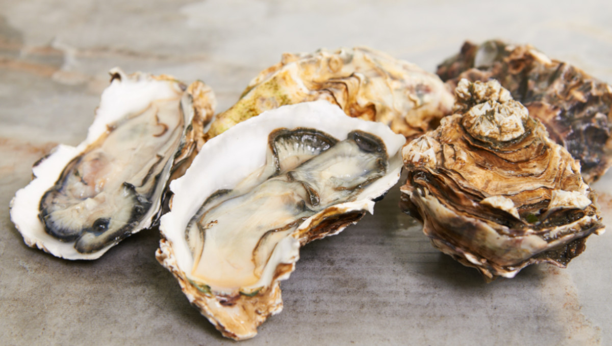 Sawmill Bay Shellfish recalls multiple brands of oysters over norovirus ...